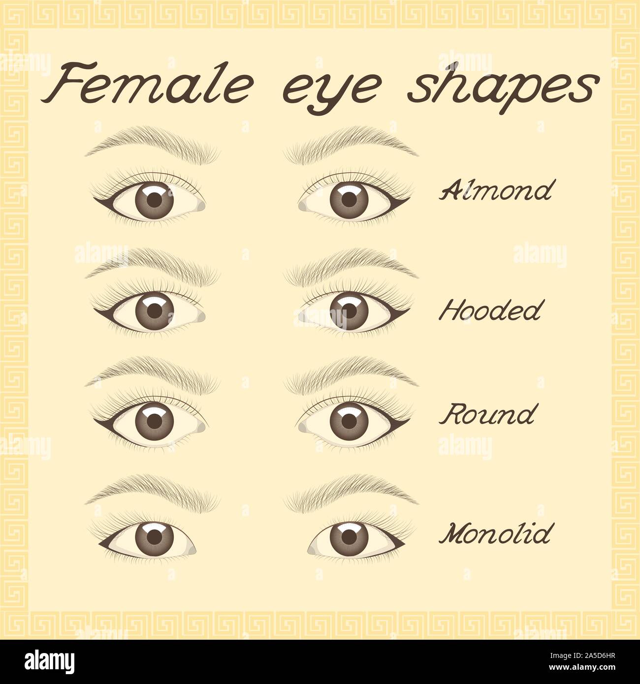 Woman almond Stock Vector Images - Alamy