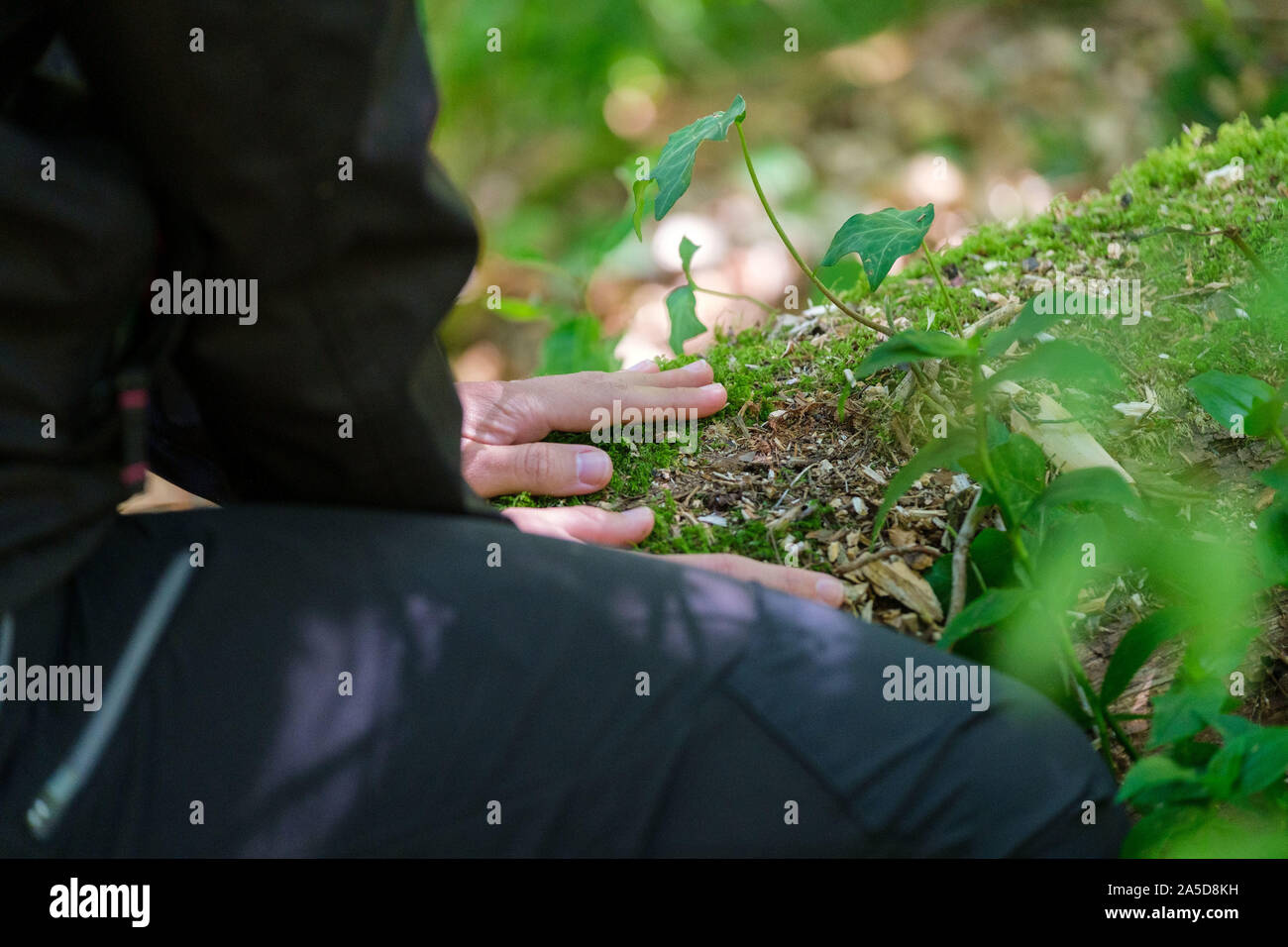 Hand touching nature hi-res stock photography and images - Alamy