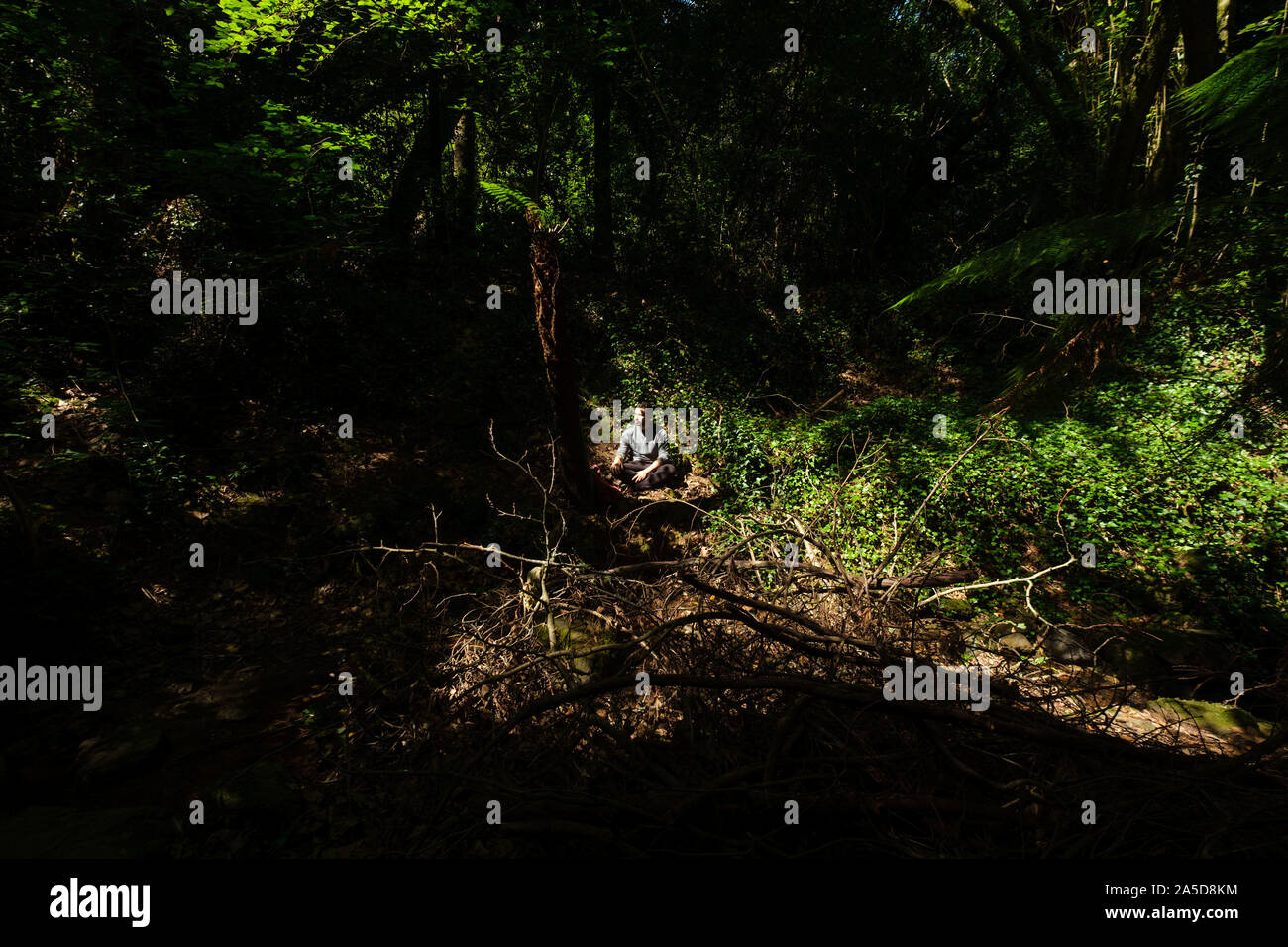 Man sitting in the woods enjoying the sun rays with eyes closed during ...