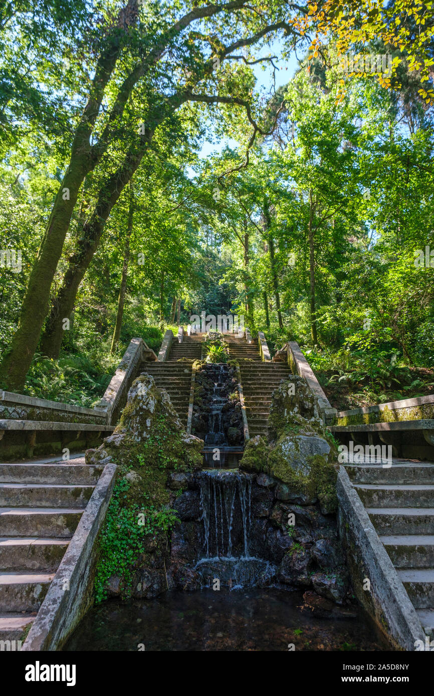 Outdoor tree trees park stairs hi-res stock photography and images - Alamy