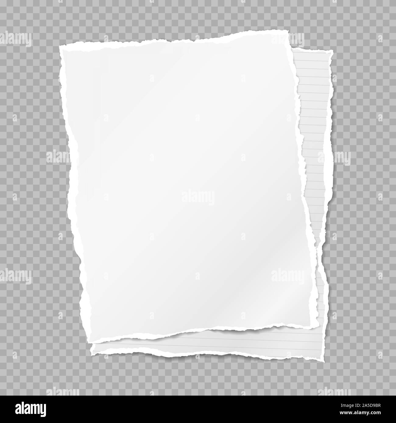 Torn, ripped piece of white and lined paper sheets with soft shadow are ...