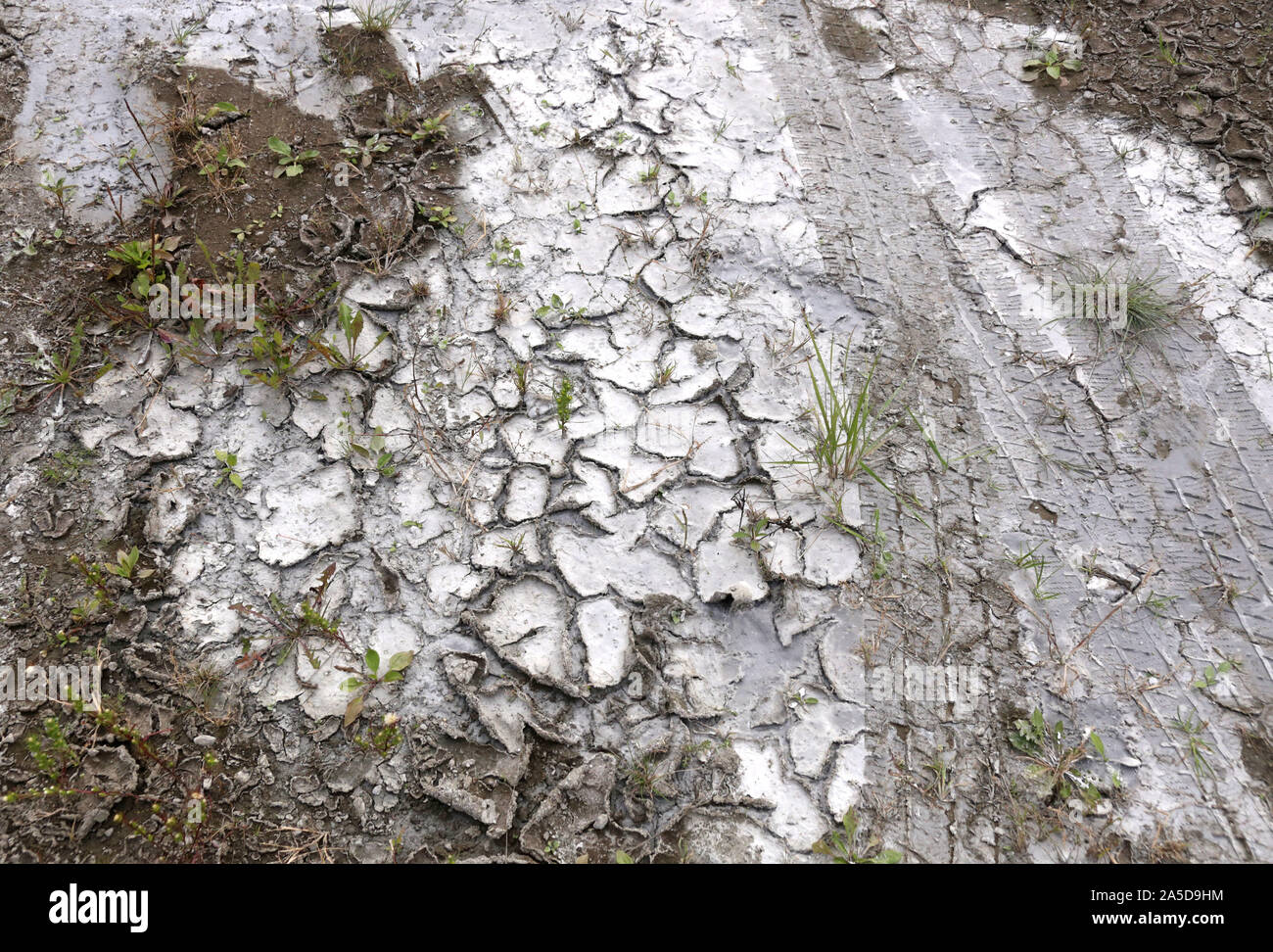 Cracked dry soil with desiccation cracks and tire marks Stock Photo - Alamy