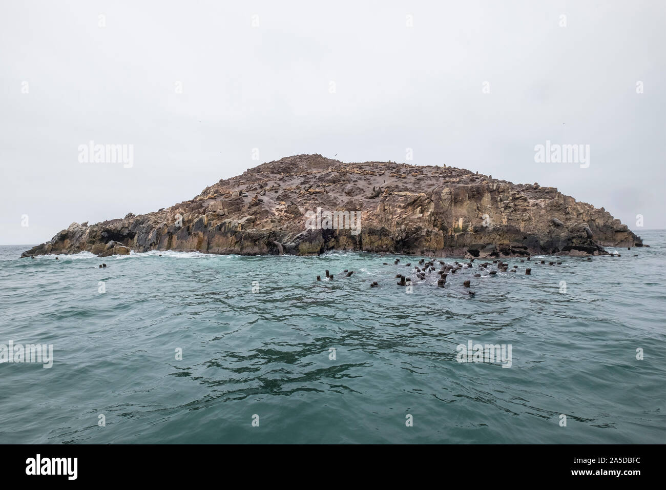Perù, Paracas, Natural reserve, Ballestas island Stock Photo - Alamy