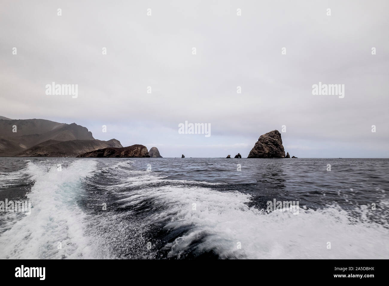 Perù, Paracas, Natural reserve, Ballestas island Stock Photo - Alamy