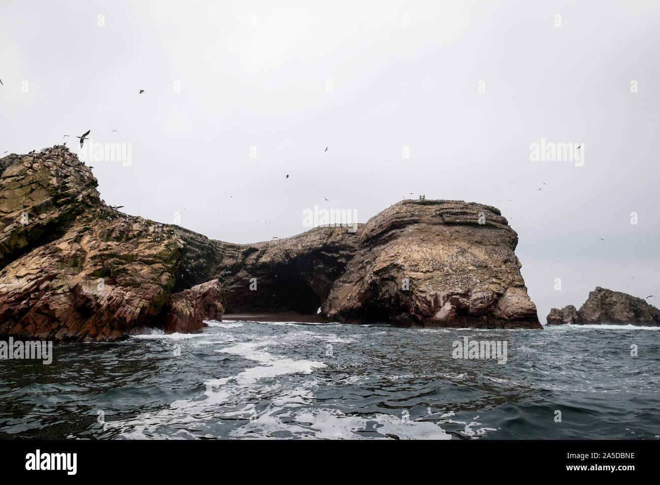 Perù, Paracas, Natural reserve, Ballestas island Stock Photo - Alamy