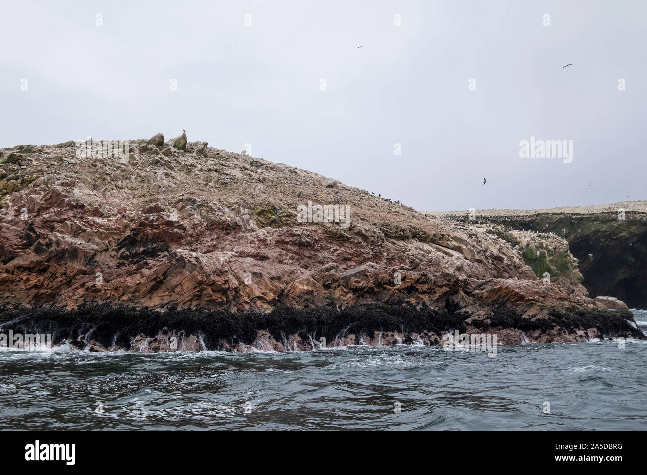 Perù, Paracas, Natural reserve, Ballestas island Stock Photo - Alamy