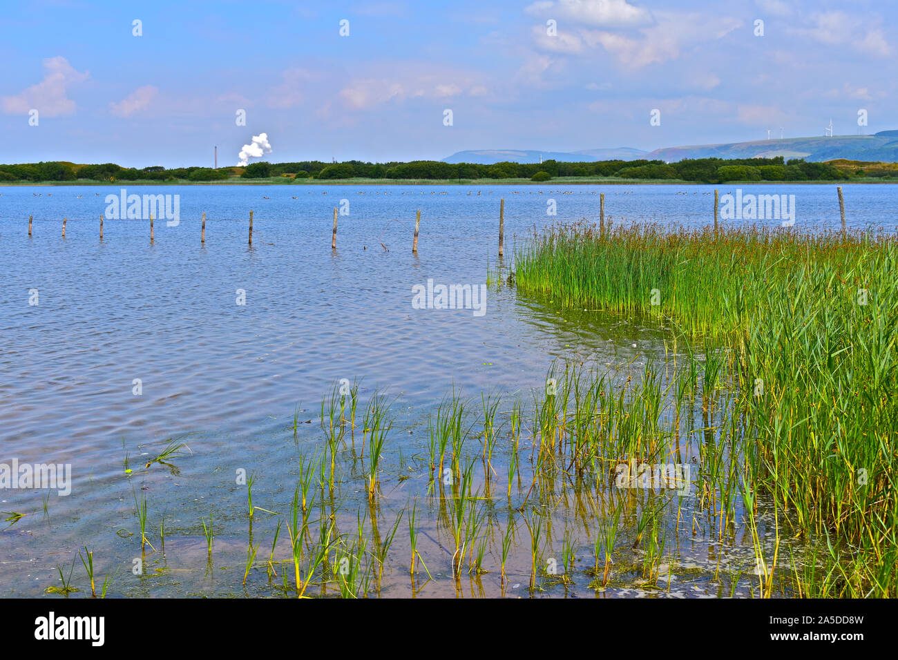 Kenfig natural nature reserve hi-res stock photography and images - Alamy