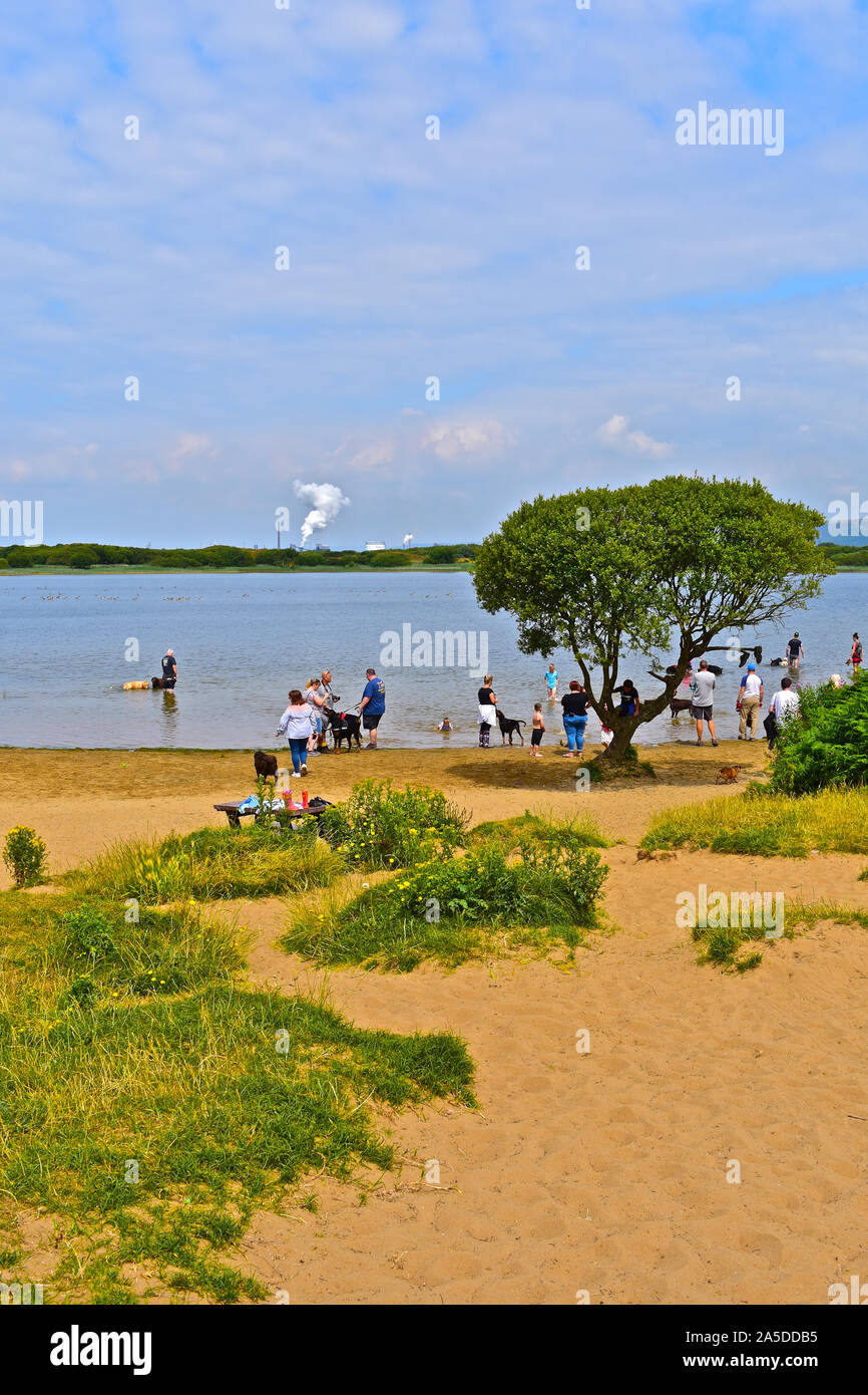 Kenfig natural nature reserve hi-res stock photography and images - Alamy