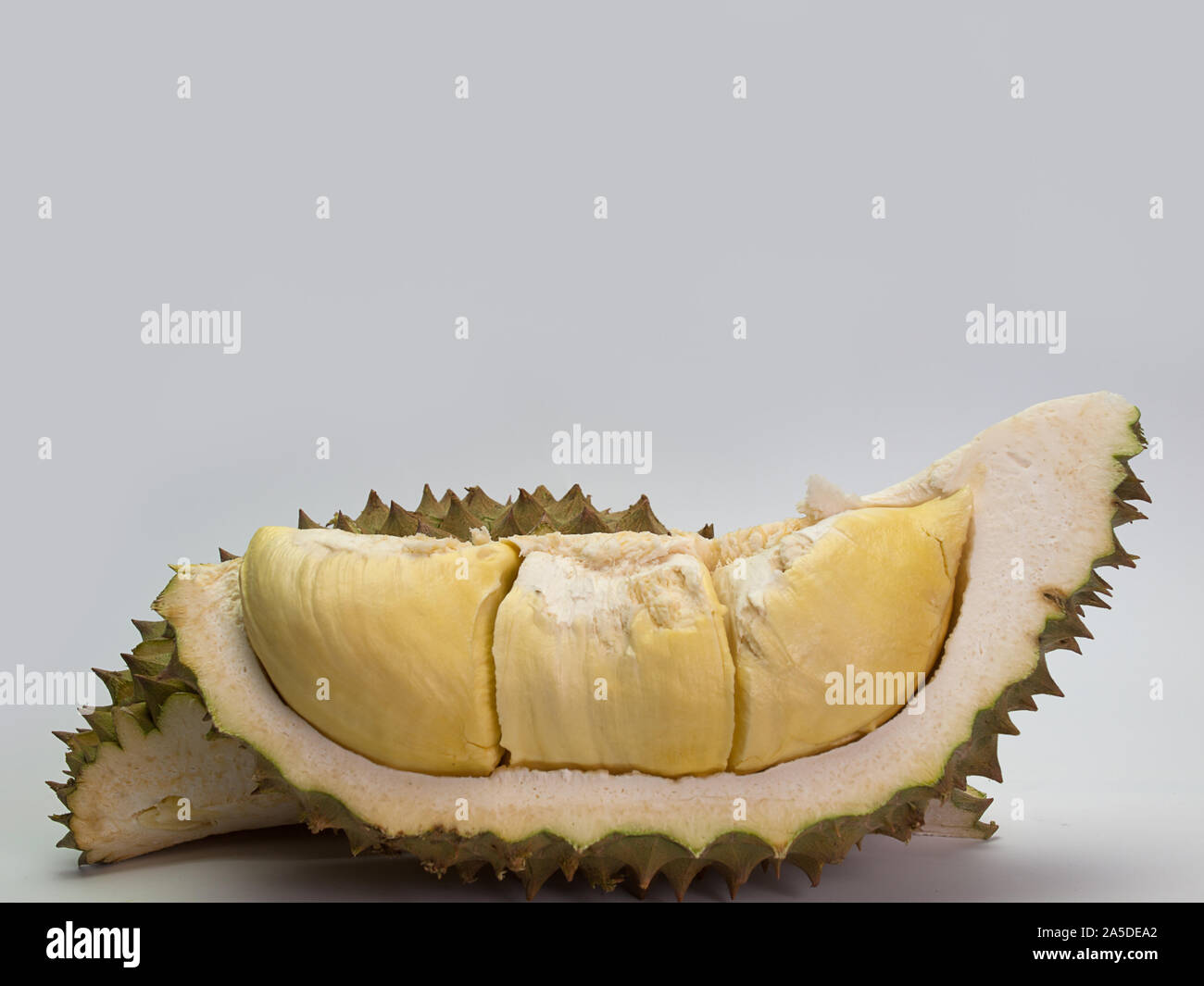 fruits durian on white background Stock Photo - Alamy