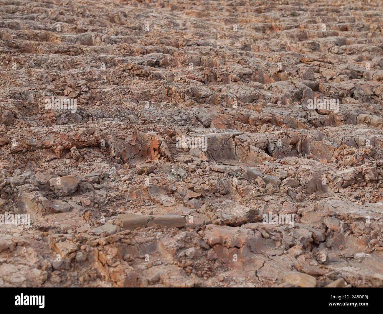 Soil, cultivated dirt, earth, ground, brown land background Stock Photo ...