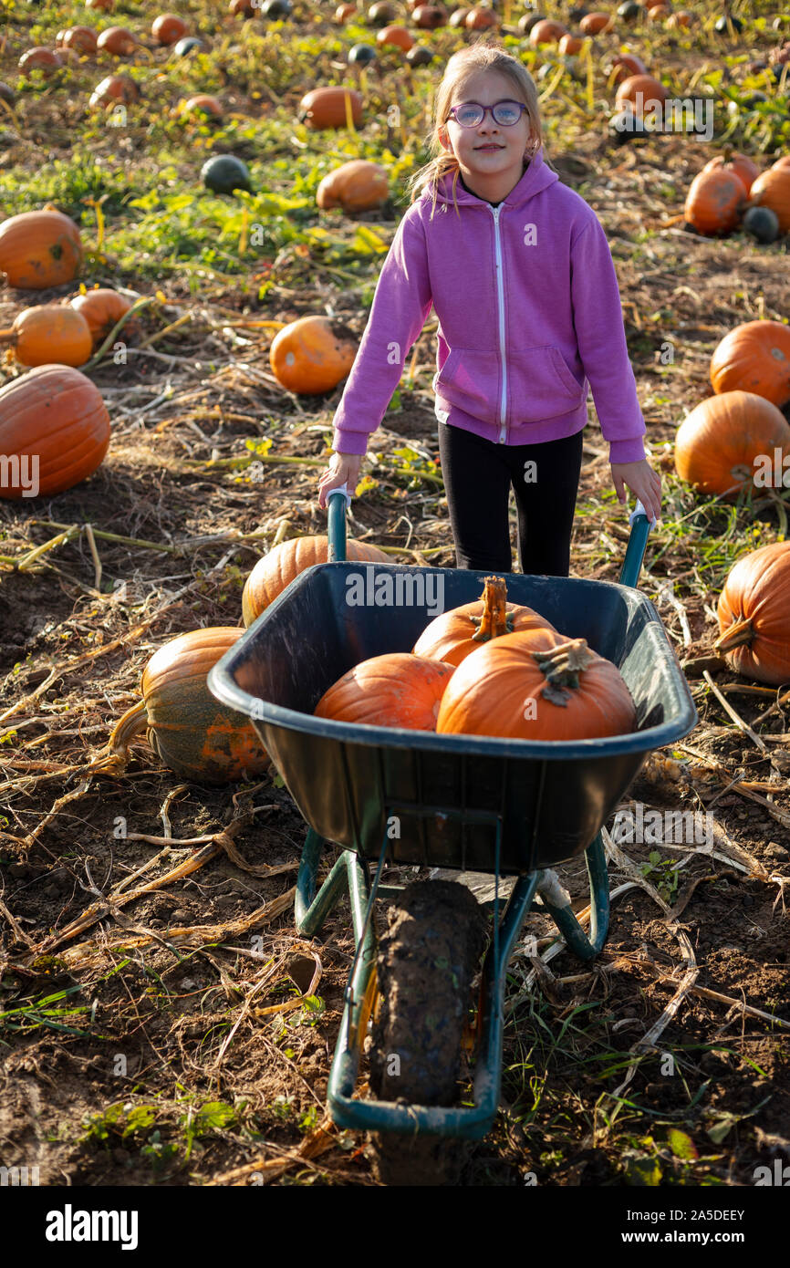 Girl pumpkins hi-res stock photography and images - Alamy