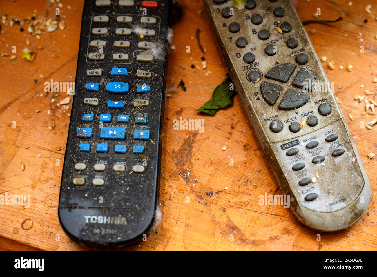 How Dirty Are Hotel Remotes at Ruby Vannatter blog