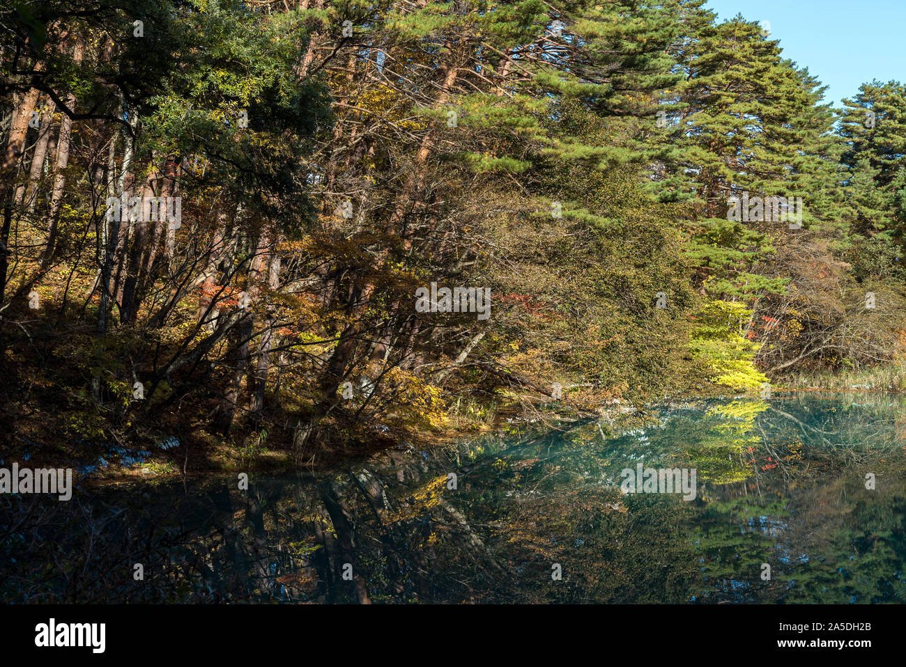 Goshiki numa hi-res stock photography and images - Alamy