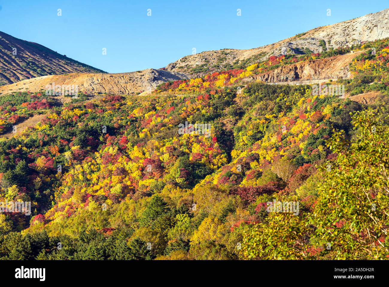 Autumn fall foliage Mountain at Bandai Azuma Skyline at Mt.Bandai in ...