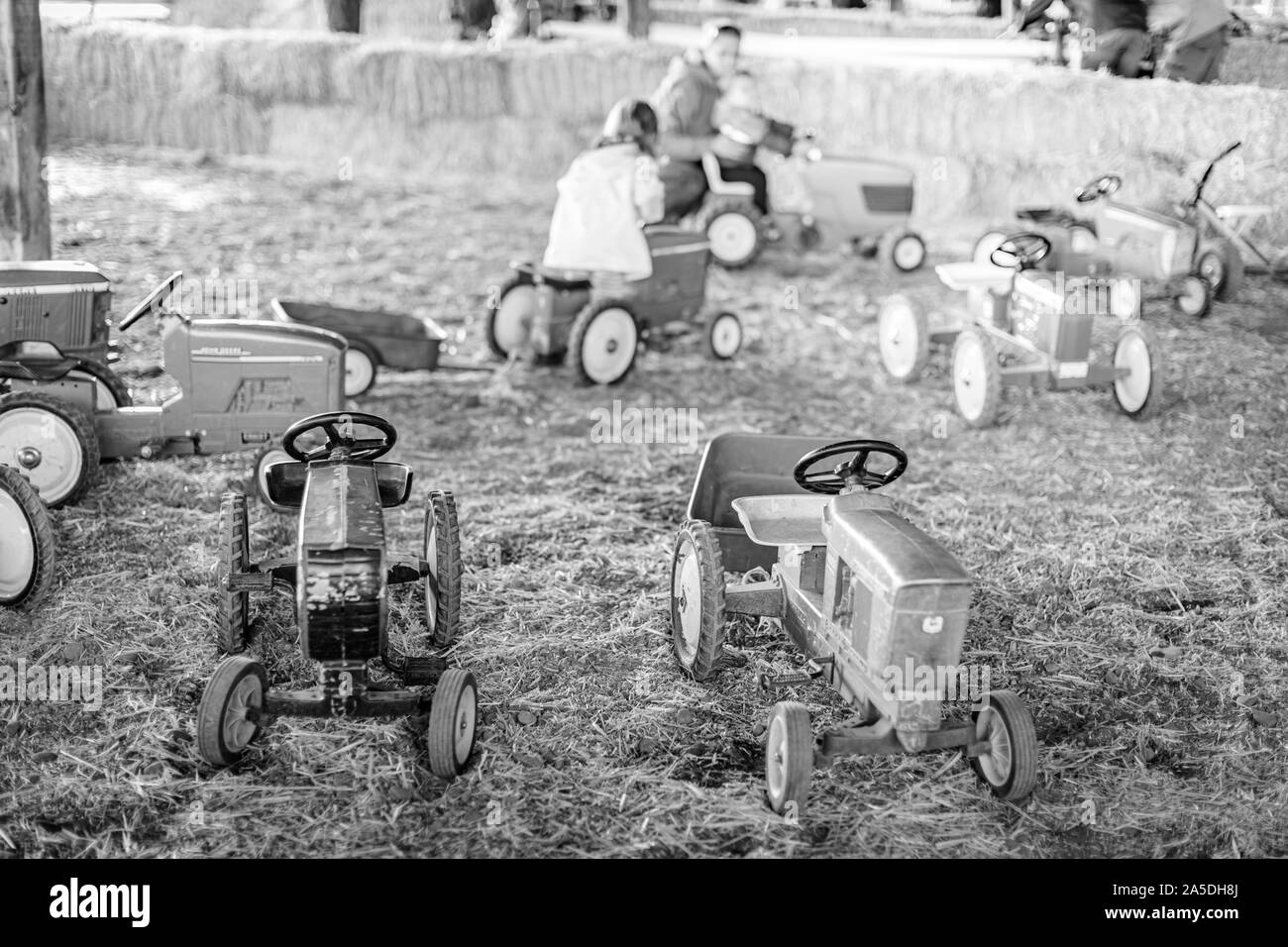 Kid farm carts on a grass at america rural farm, Autumn season, Black ...