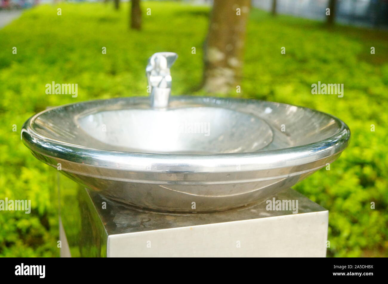 Direct drinking water facilities Stock Photo - Alamy