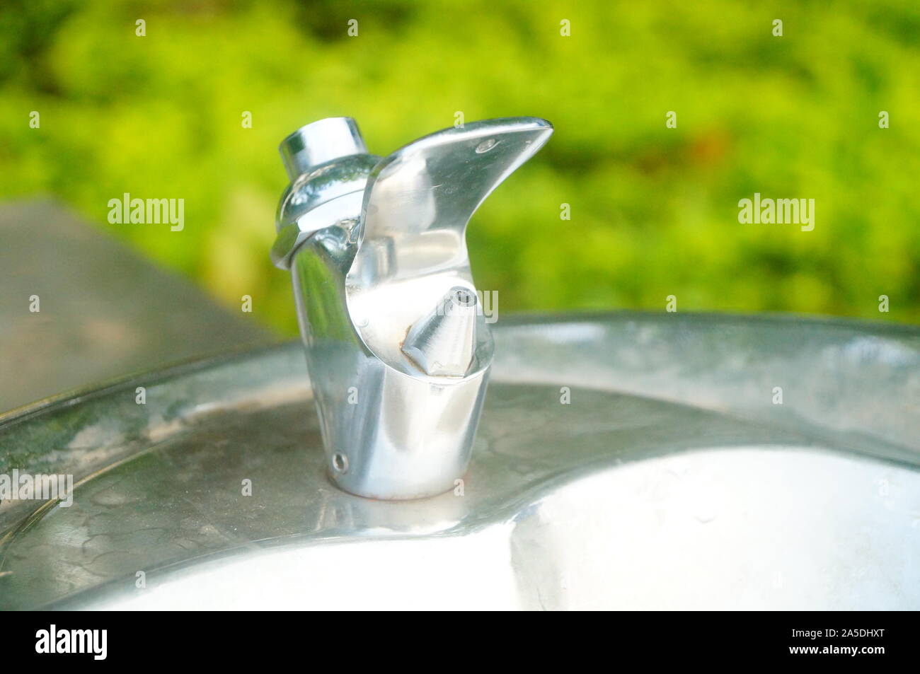 Direct drinking water hi-res stock photography and images - Alamy