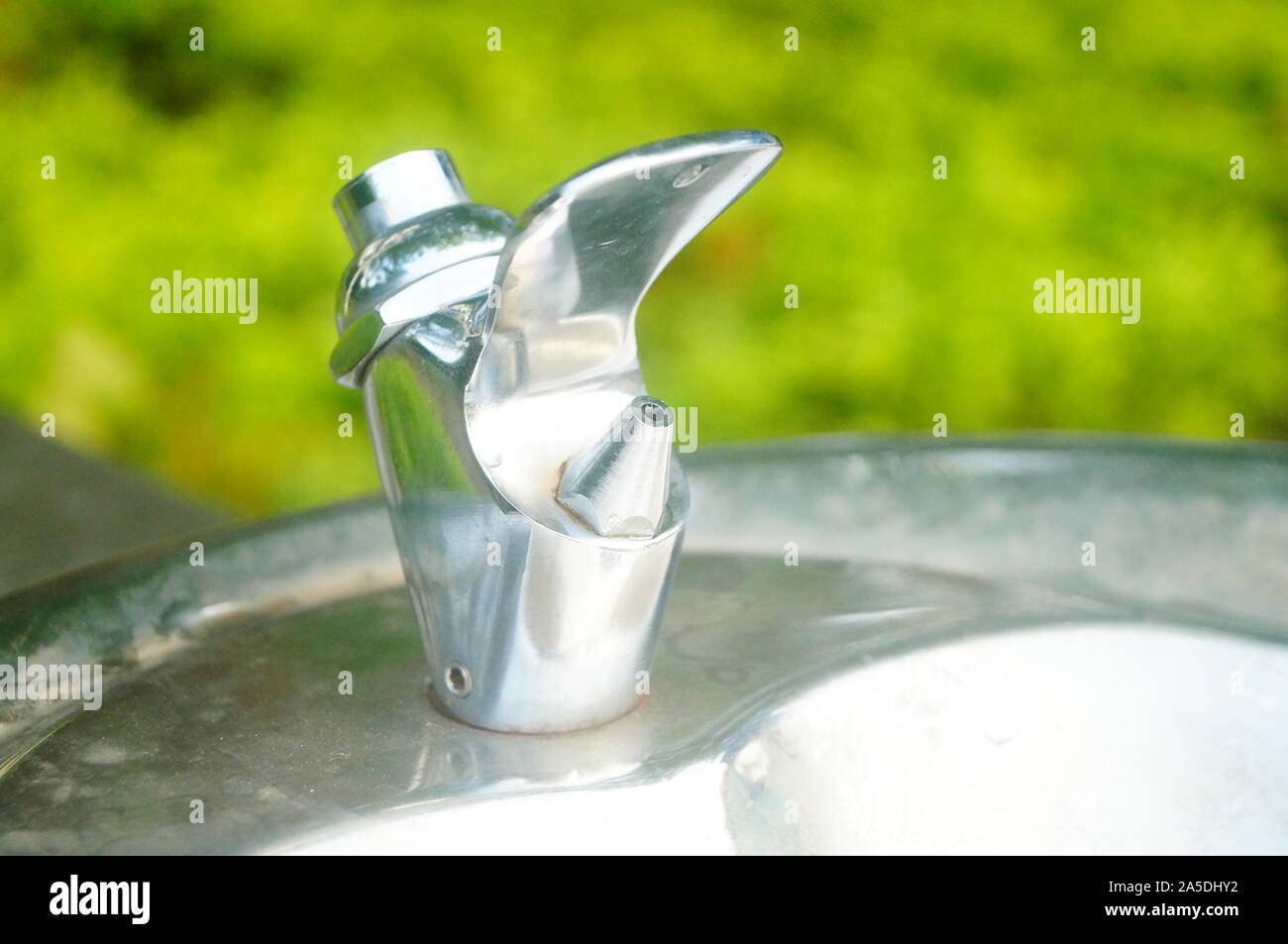 Direct drinking water facilities Stock Photo - Alamy