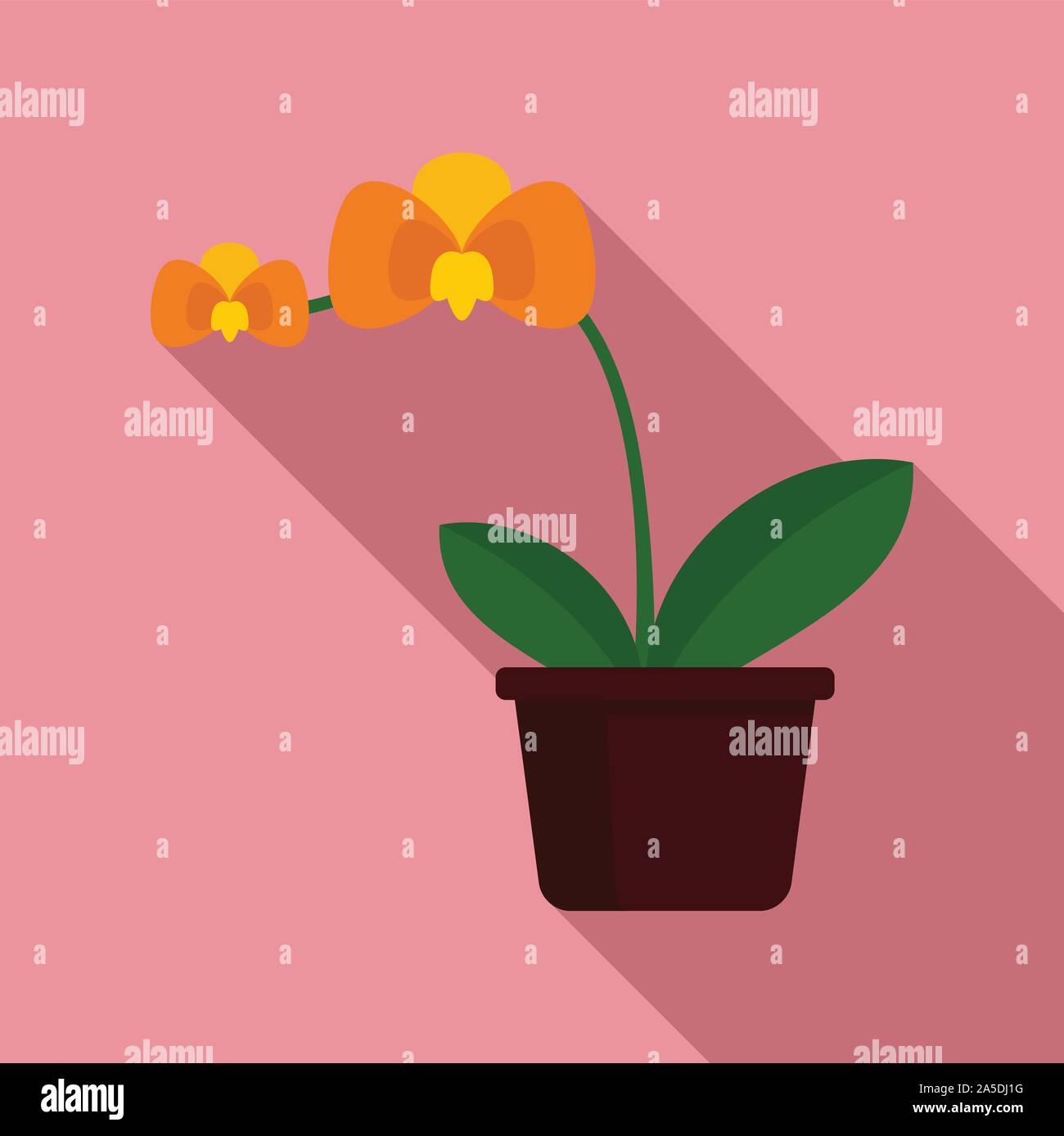 Yellow red orchid flower Stock Vector Images - Alamy