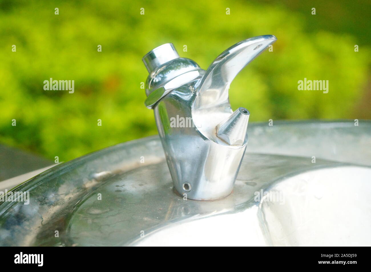 Direct drinking water facilities Stock Photo - Alamy