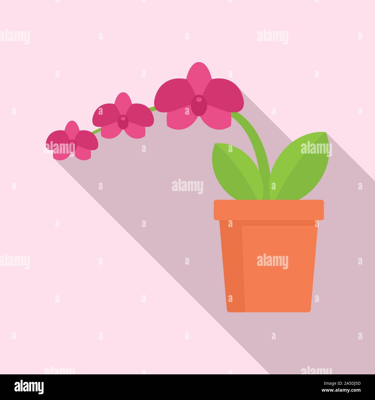 Branch orchid icon. Flat illustration of branch orchid vector icon for ...