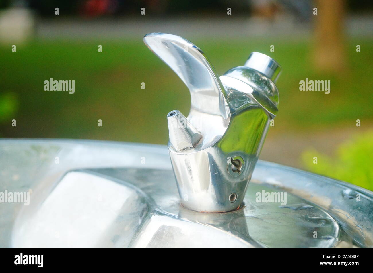 Direct drinking water facilities Stock Photo - Alamy