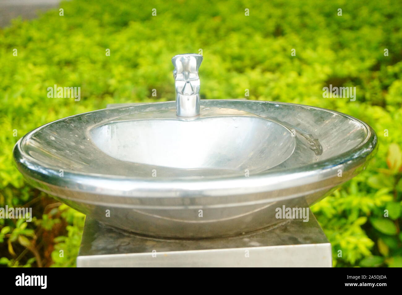 Direct drinking water facilities Stock Photo - Alamy