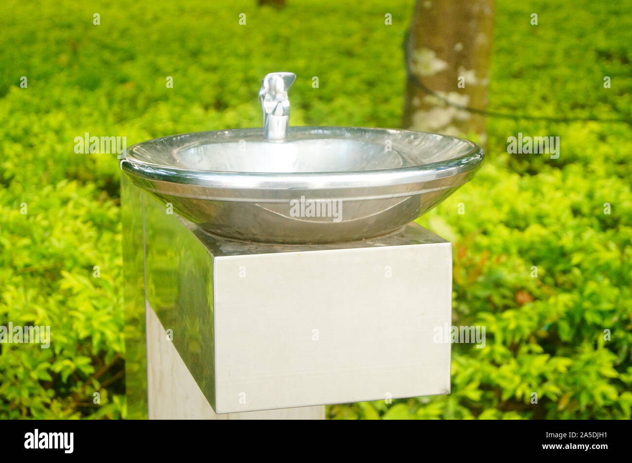 Direct drinking water facilities Stock Photo - Alamy