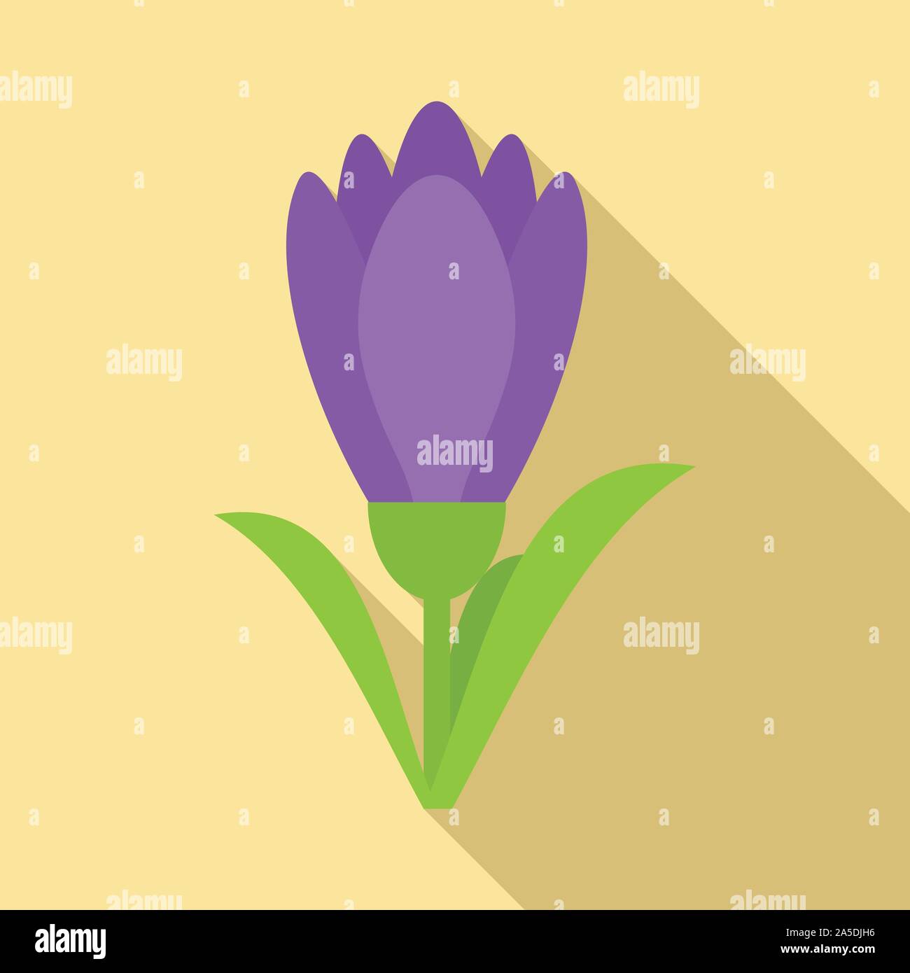 Crocus sativus drawing hi-res stock photography and images - Alamy