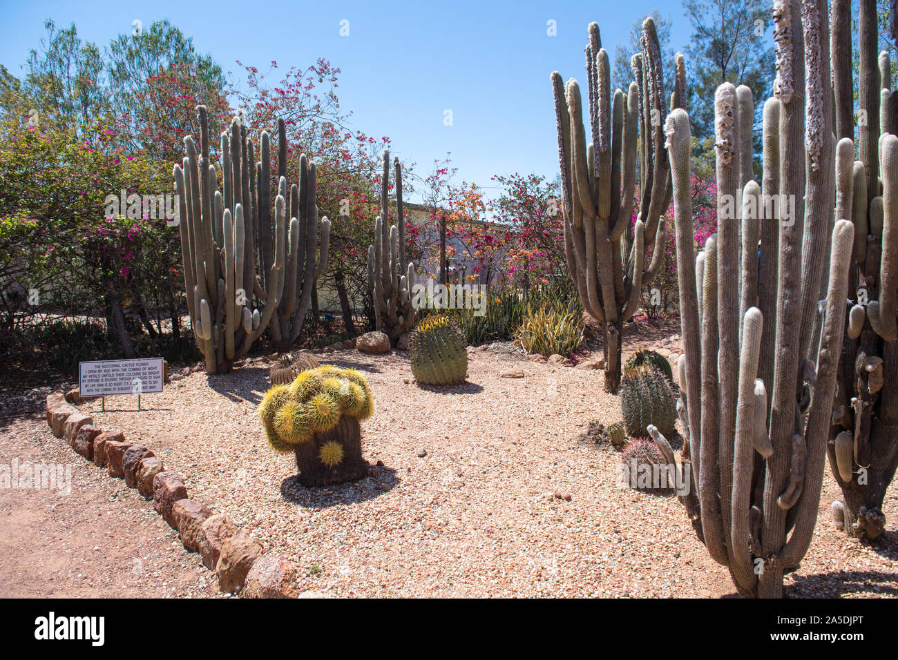 Bevans Black Opal & Cactus Nursery - Lightning Ridge, New South Wales ...