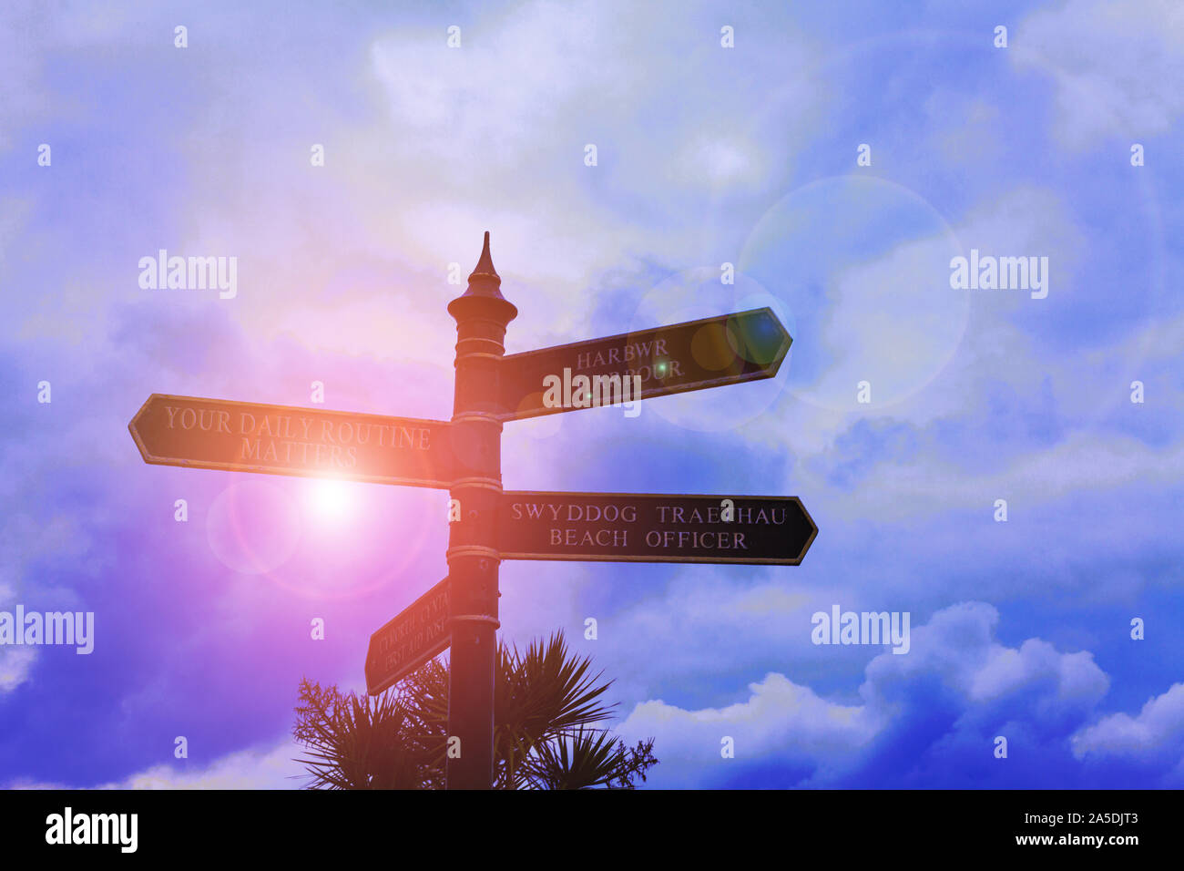 Writing note showing Your Daily Routine Matters. Business concept for ...