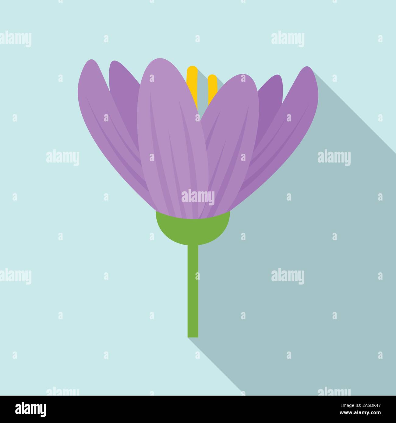 Crocus sativus drawing hi-res stock photography and images - Alamy