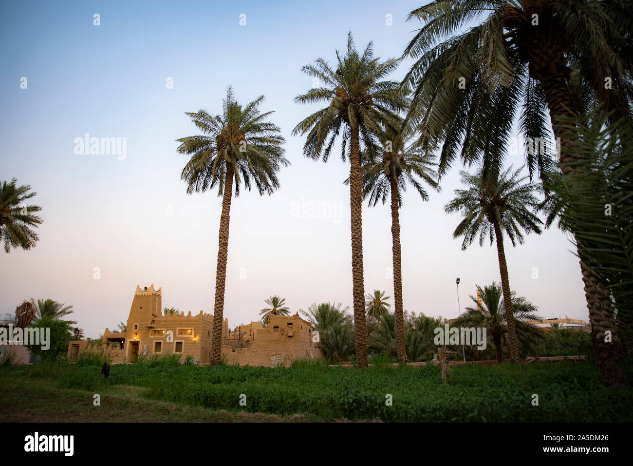 beautiful farm in Saudi Arabia Stock Photo - Alamy