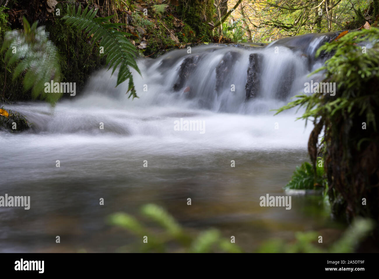 Mare creek hi-res stock photography and images - Alamy