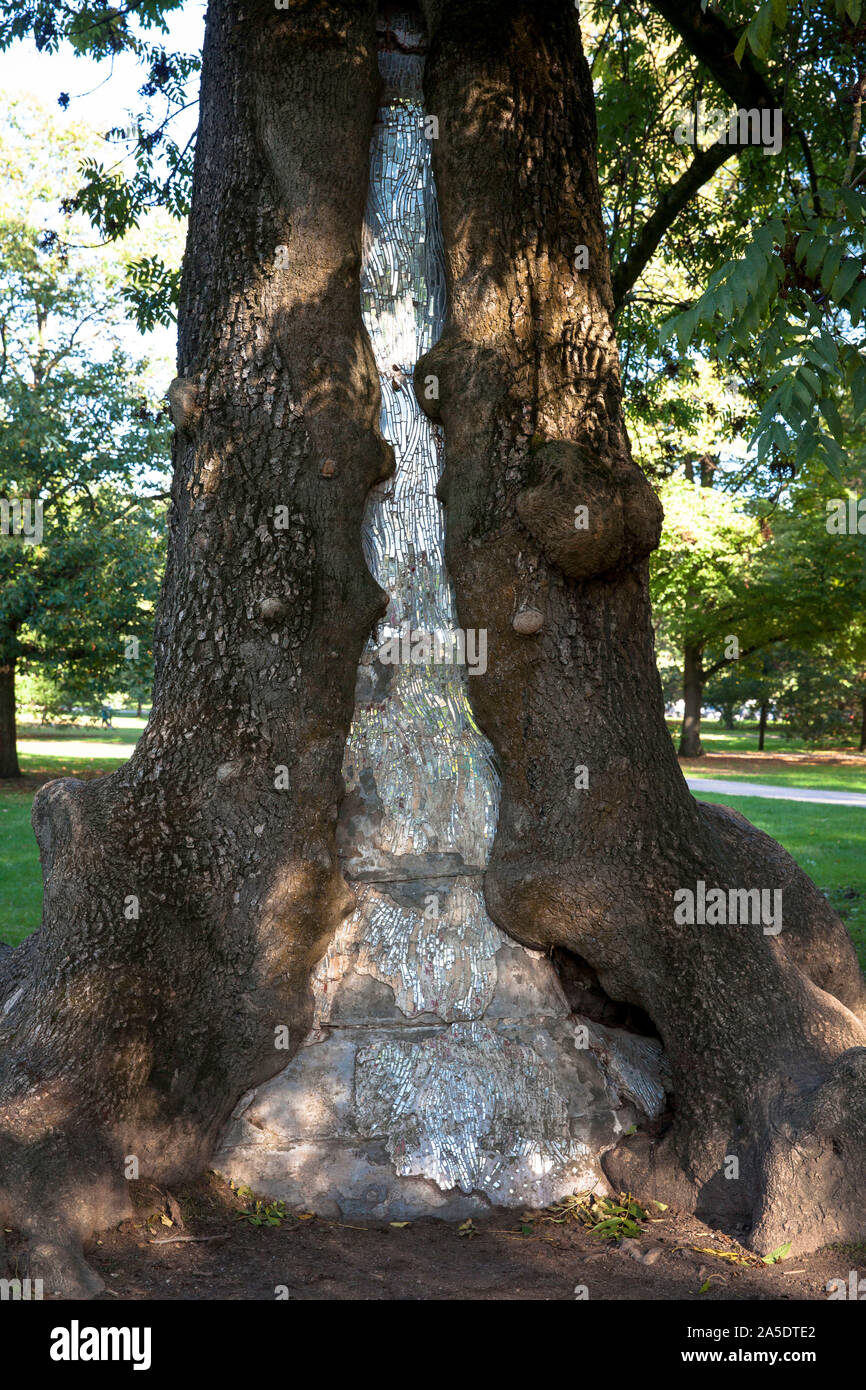 tree with mirror mosaic in the town forest , Cologne, Germany ...