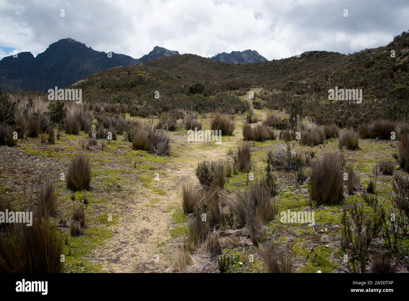 Rumiñahu is an inactive volcano in Ecuador with 4721 meter above sea ...
