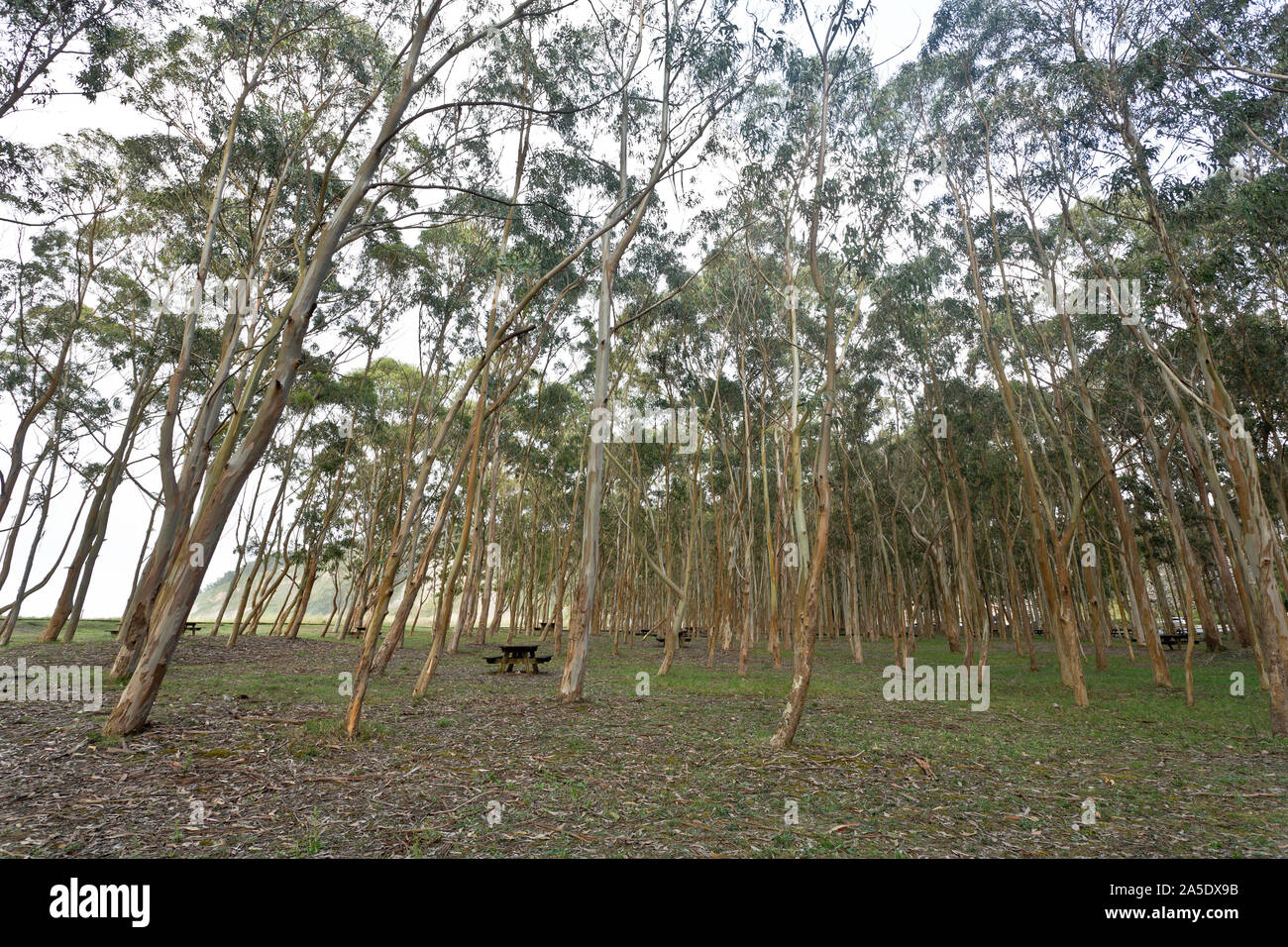 Asturias beach rodiles hi-res stock photography and images - Alamy