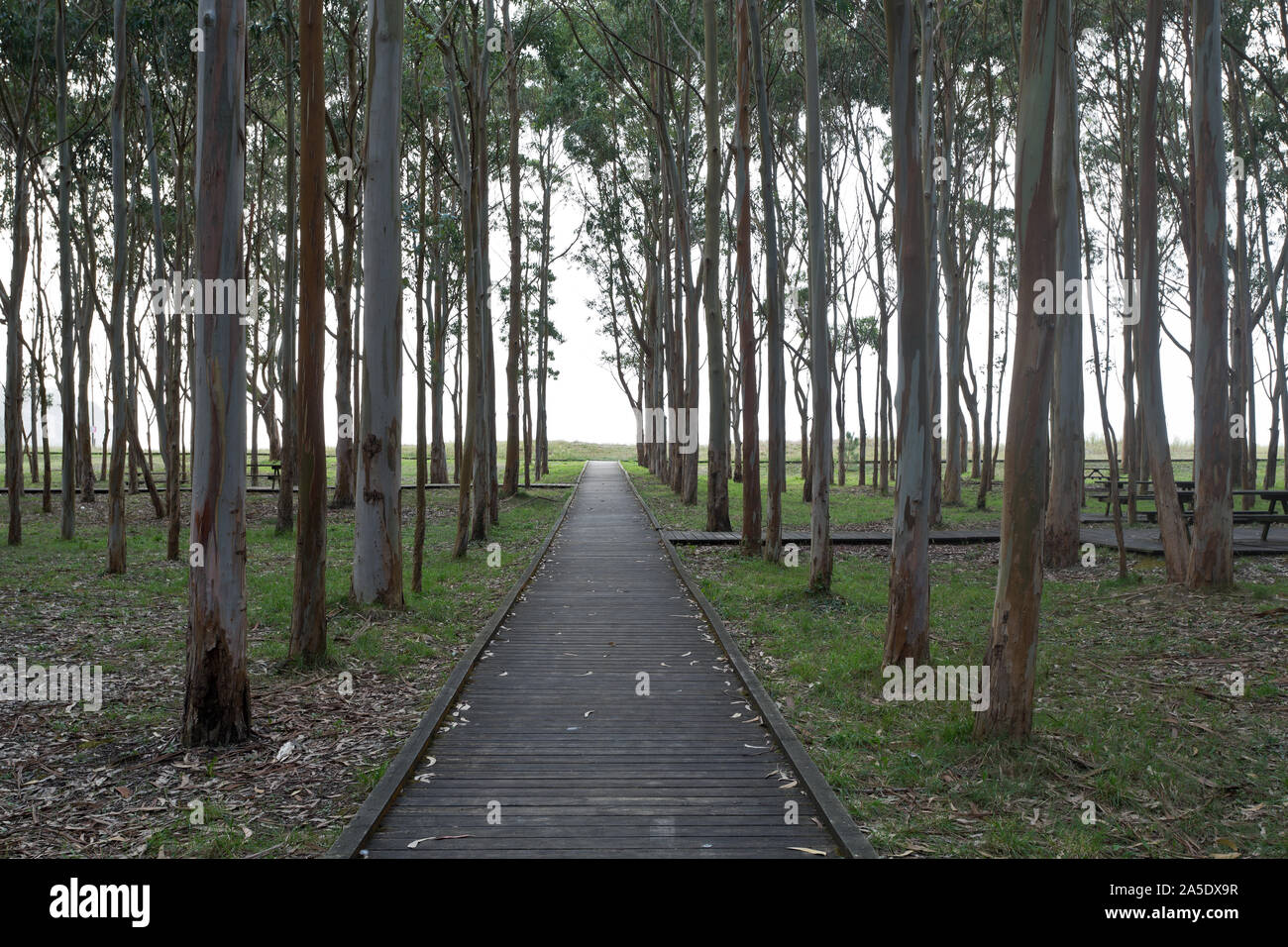 Rodiles High Resolution Stock Photography and Images - Alamy