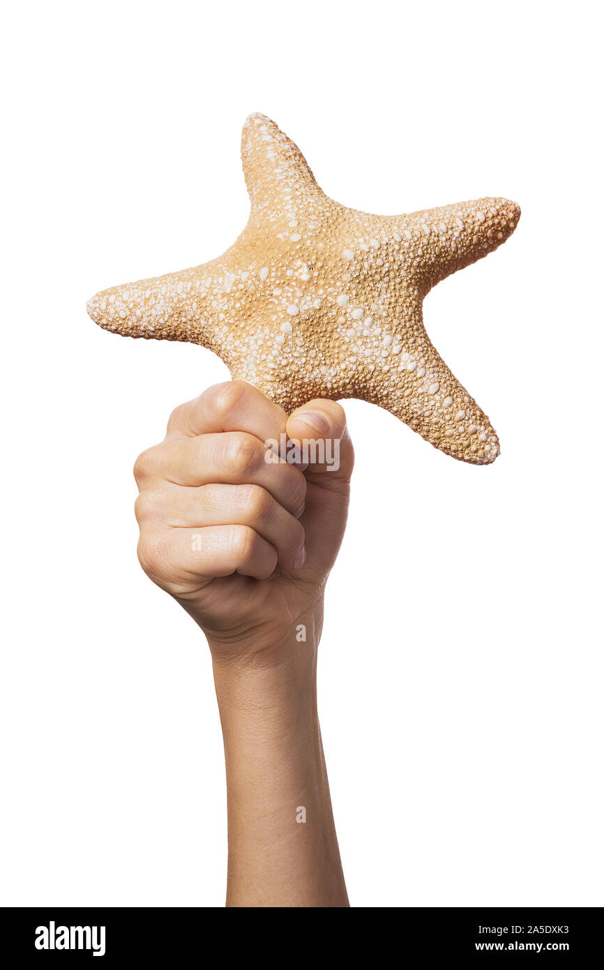 Starfish in hand isolated on a white background. Man holds a star Stock ...