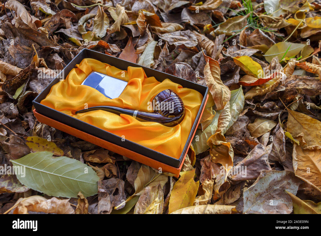 Smoking pipe on a silk pillow in a gift box, lying on dry autumn leaves ...