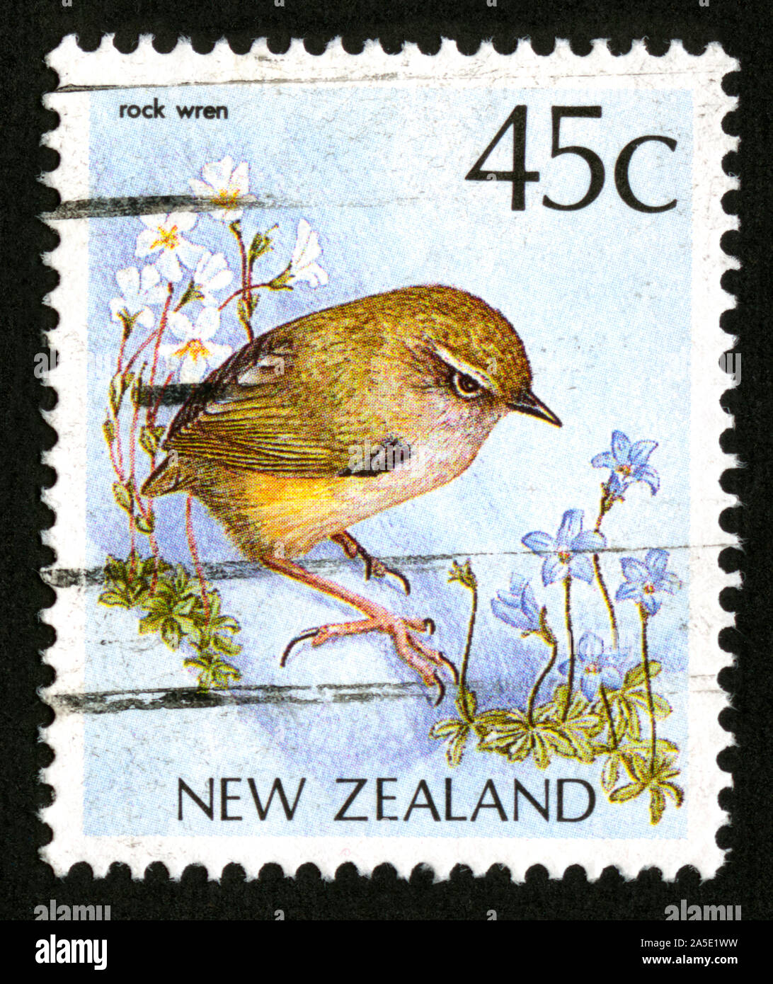 New Zealand Rock Wren High Resolution Stock Photography and Images - Alamy