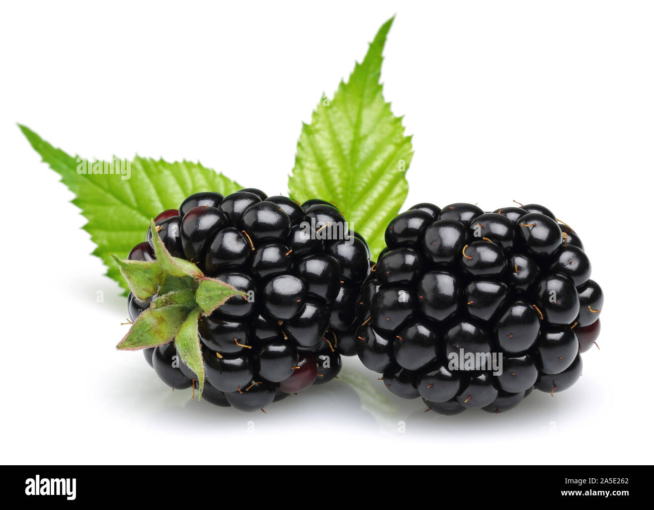 Fresh two blackberries with leaves isolated on white background Stock ...