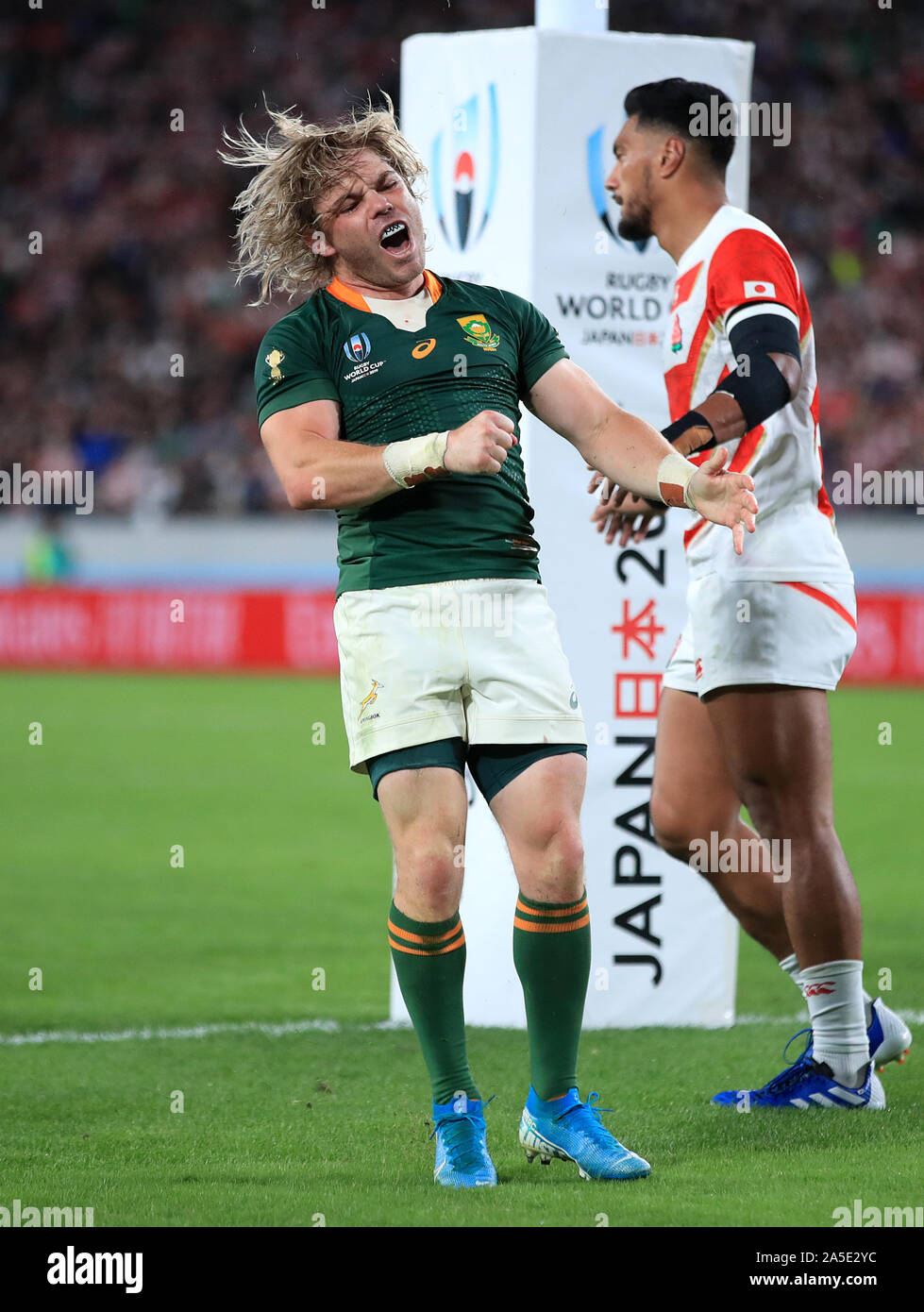 South Africa's Faf de Klerk celebrates scoring his side's second try ...
