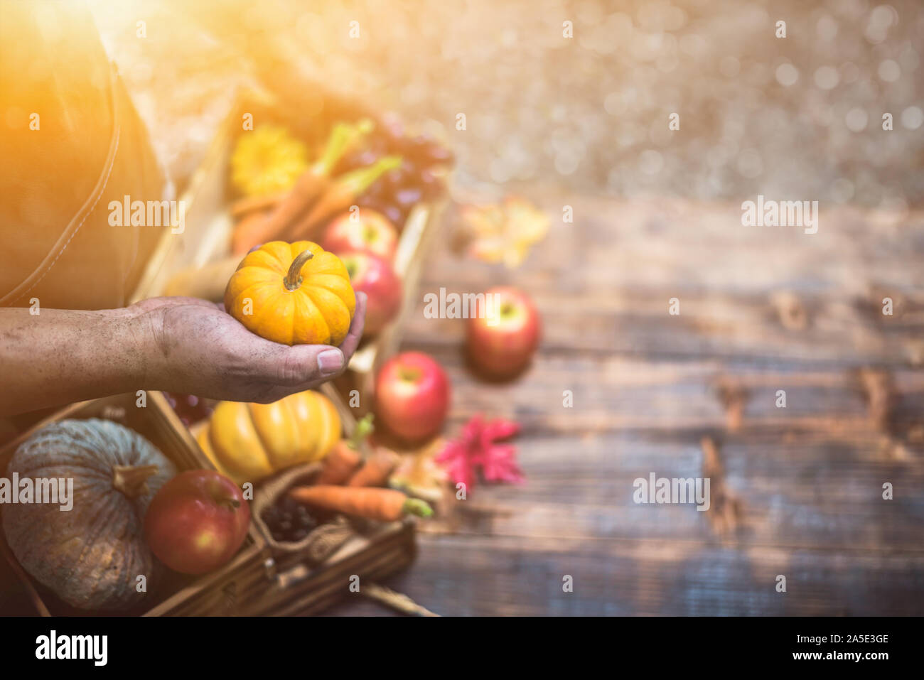 Farmer with fresh fruit on hands. Fall harvest cornucopia in Autumn ...