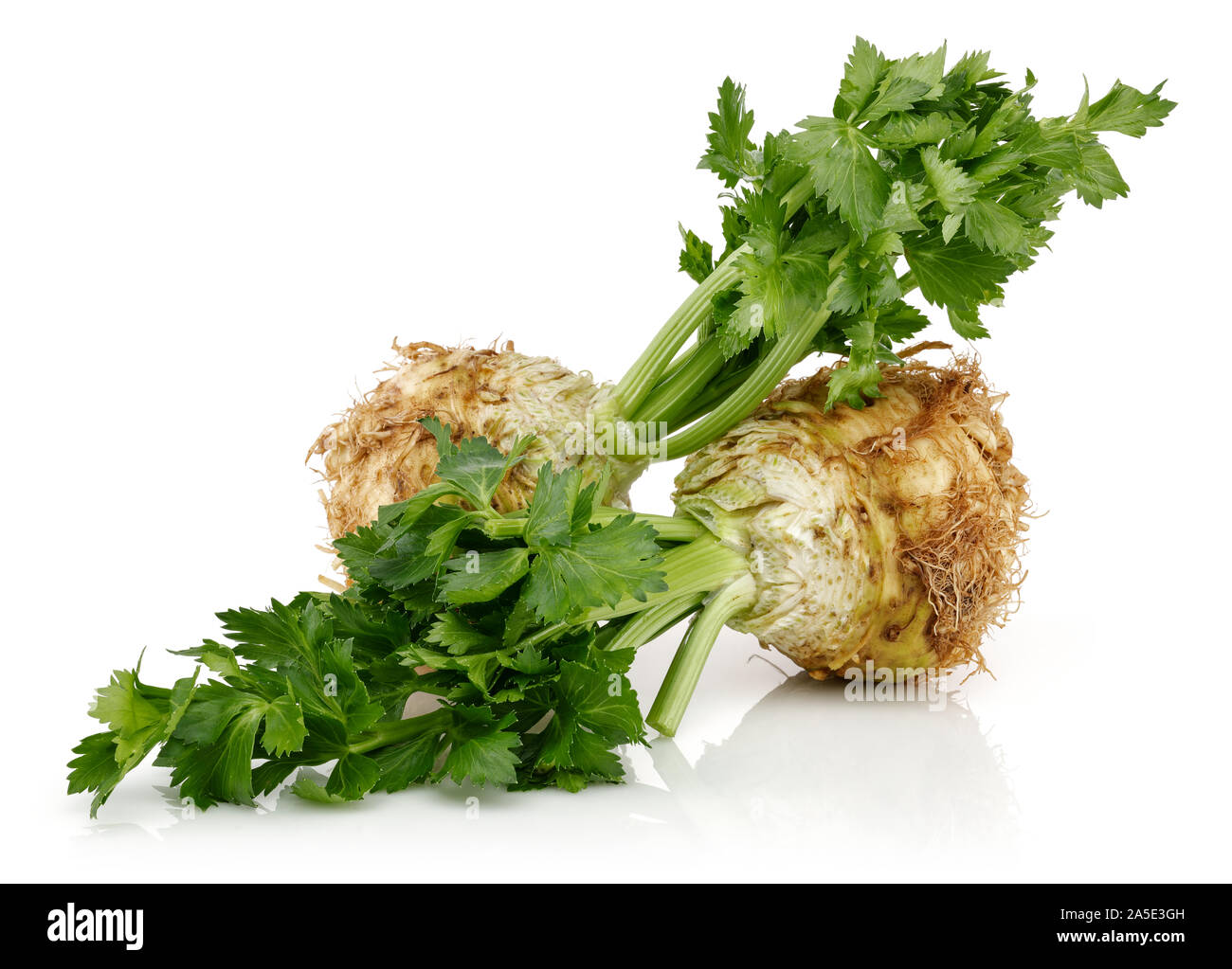 Fresh celeriac root with celery stalks isolated on white background ...
