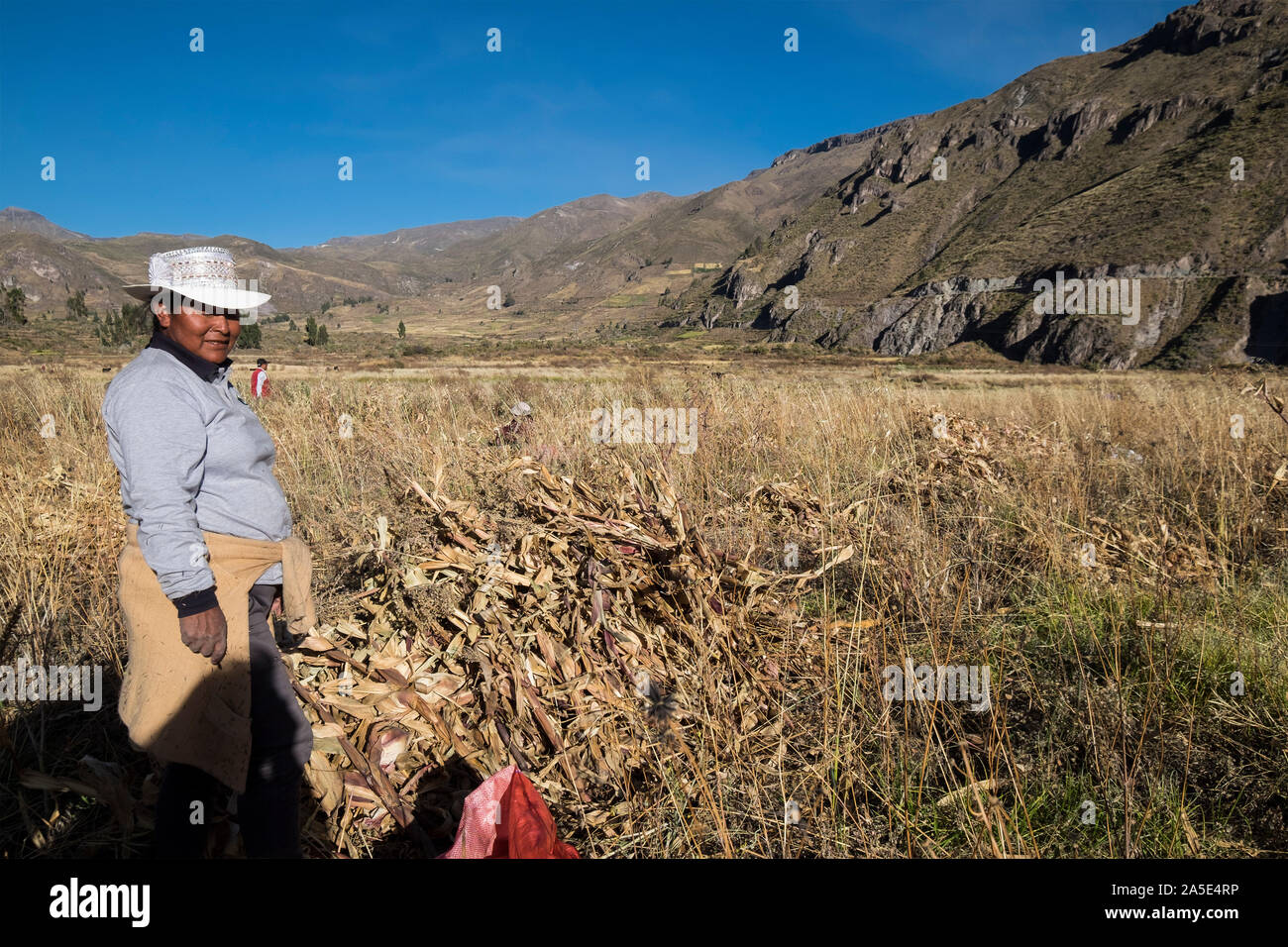 Digital farmer peru hi-res stock photography and images - Alamy