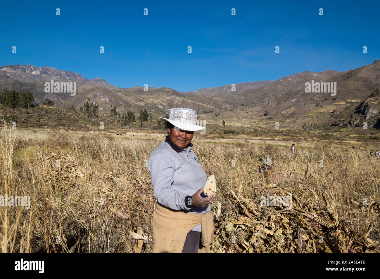 Digital farmer peru hi-res stock photography and images - Alamy