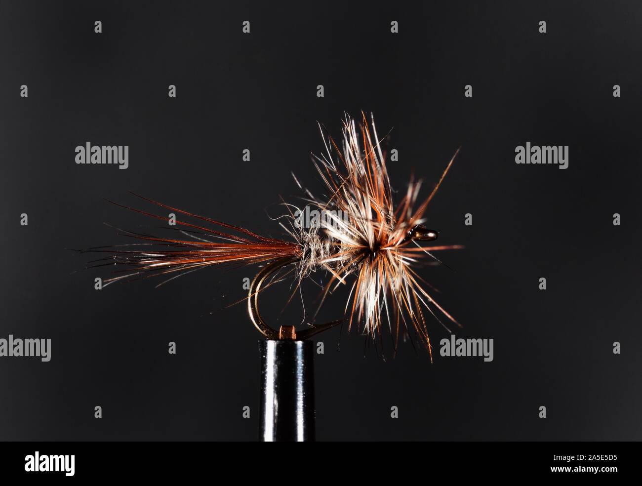 An Adam midge trout fly Stock Photo - Alamy
