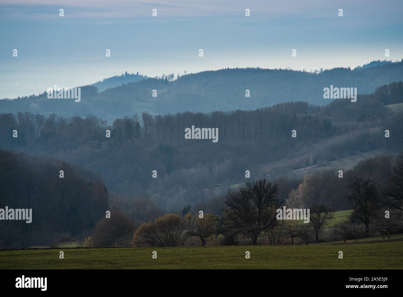 View over a forest with bare trees and a castle. Scene from the ...