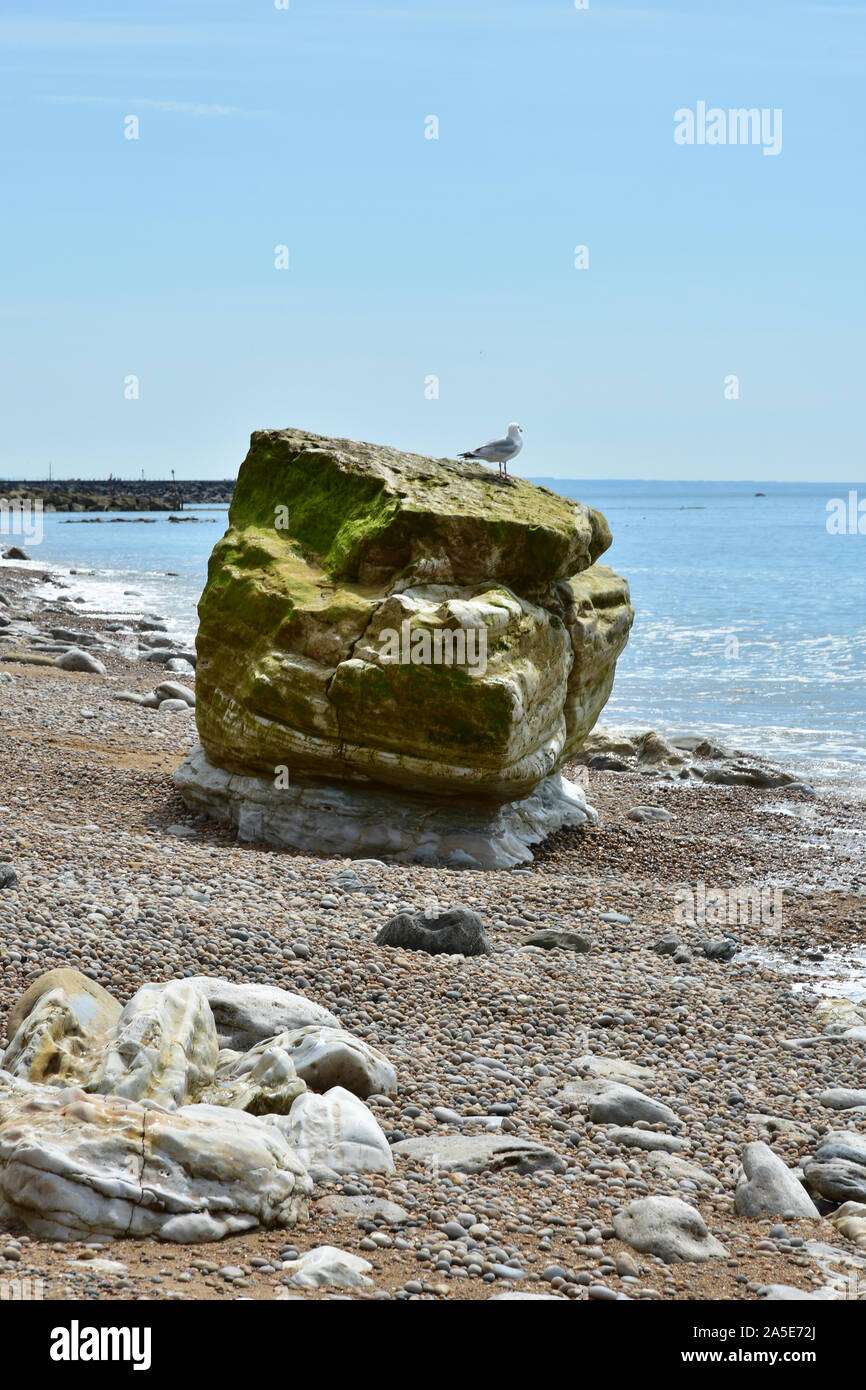 Large rock Eype beach, Dorset Stock Photo - Alamy